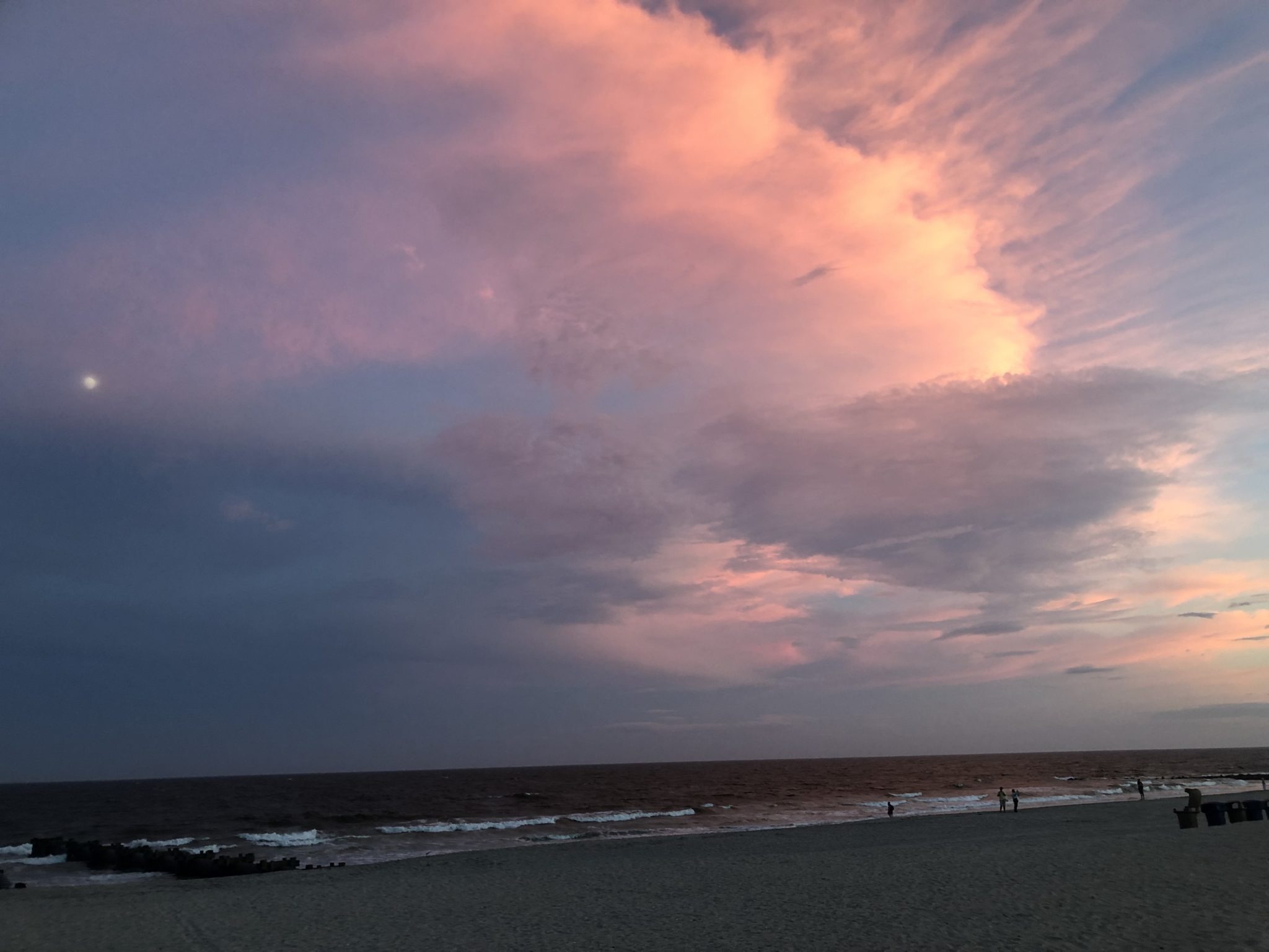 Nature Breaks All The “No No” Color Combo Rules… Why Shouldn’t You ...