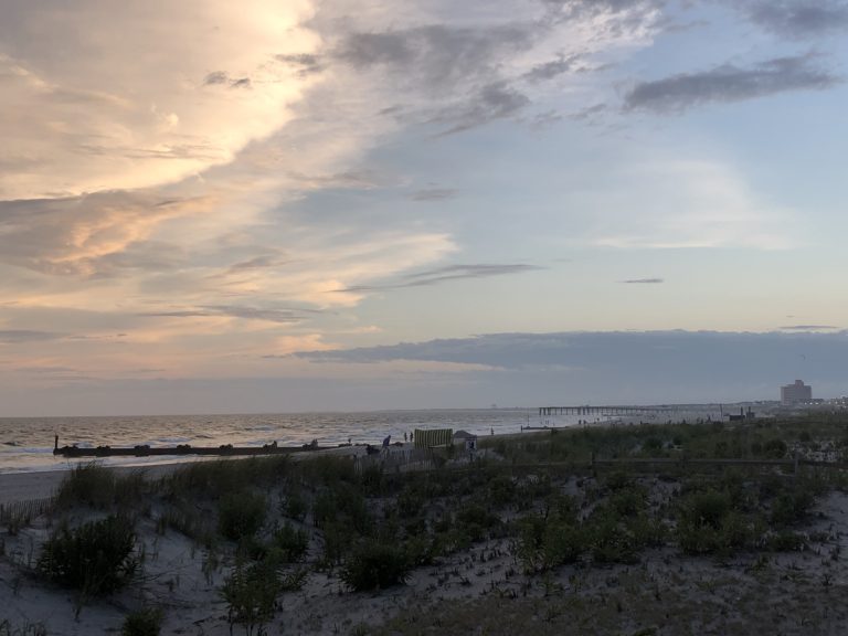 Nature Breaks All The “No No” Color Combo Rules… Why Shouldn’t You ...