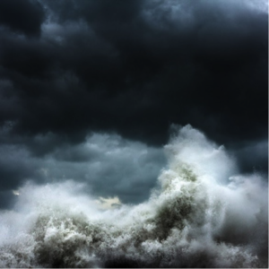 Nature Breaks All The “No No” Color Combo Rules… Why Shouldn’t You ...