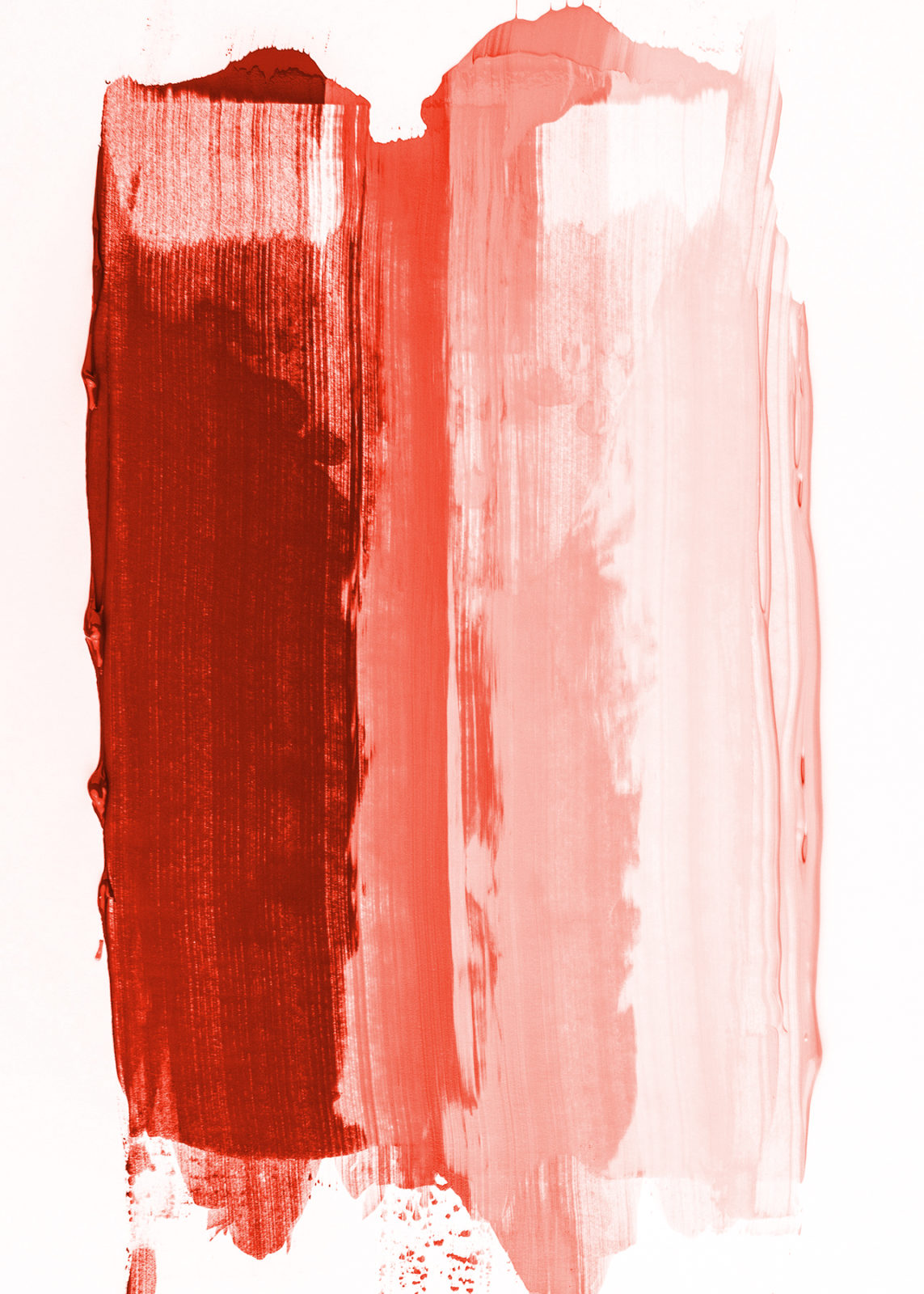 How To Find Your Perfect Reds For Valentine's Day - Showit Blog